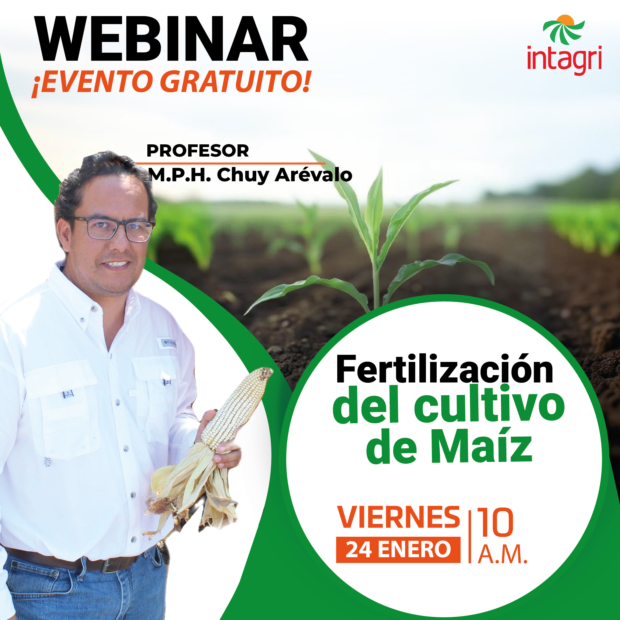 Webinar gratuito: Fertilización del cultivo de maíz